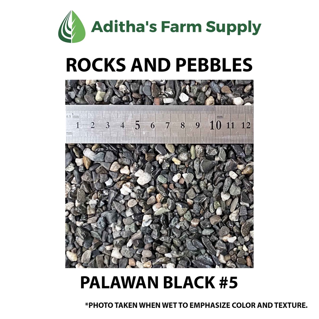 Rocks and Pebbles - 1 kilo | Shopee Philippines