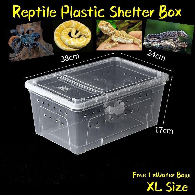 X-LARGE Reptile Breeding Box XL Plastic Shelter Box Feeding Reptile ...