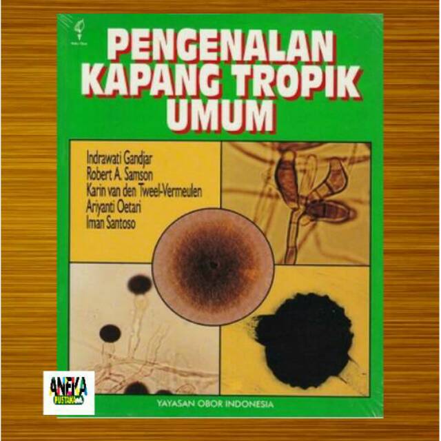 Introduction to general tropical kapang | Shopee Philippines