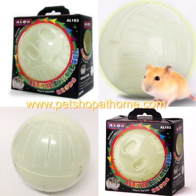 The Glow Version Hamster Ball Comes In 2 Sizes. | Shopee Philippines