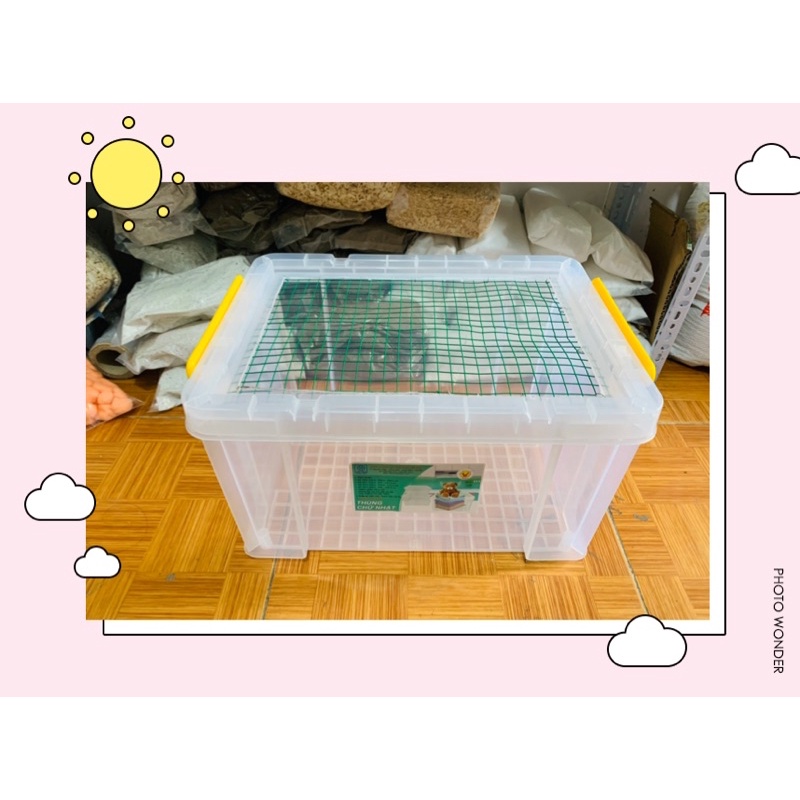 Small pet plastic box with net (25l) | Shopee Philippines