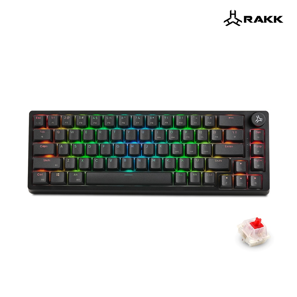 EasyPC| Rakk Pirah/Plus 66 Wireless Mechanical Keyboard| RGB| White ...