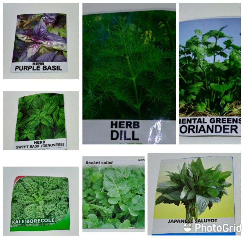 Herbs and Vegetable seeds (repack) | Shopee Philippines