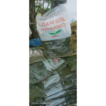 loam soil for gardening | Shopee Philippines