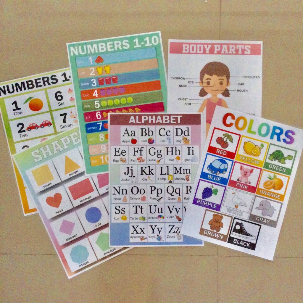 Educational Chart Laminated A4 Size for Kids | Shopee Philippines