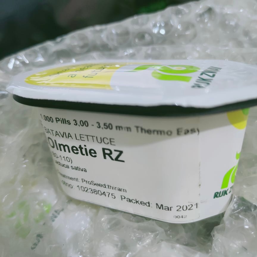 Olmetie Lettuce Seeds by Rijk Zwaan (1 tub --1000 coated pills ...
