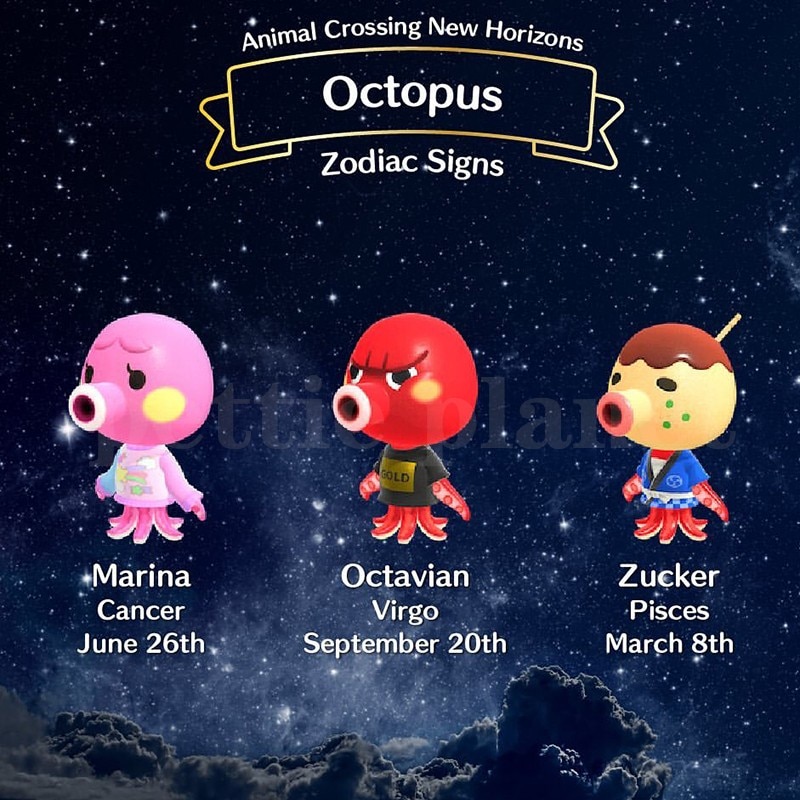 Octopus Animal Crossing Amiibo Card New Horizons Game Cards Series 1 2 ...