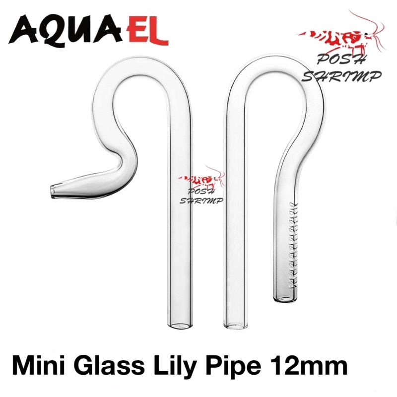 Mini Glass Lily Pipe Inflow Outflow 12/16 12mm | Shopee Philippines