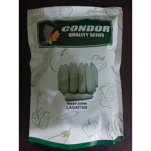 Lagkitan Waxy Corn (1 kilo) Puting Mais by Condor | Shopee Philippines