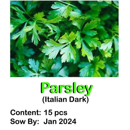 Herbs Seeds Sweet Basil Kintsay Celery Parsley Wansoy Chives Peppermint ...