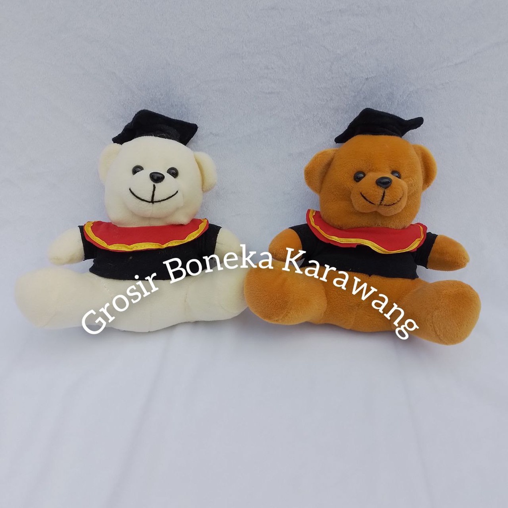 Graduation Teddy Bear Doll Toga Doll/ | Shopee Philippines