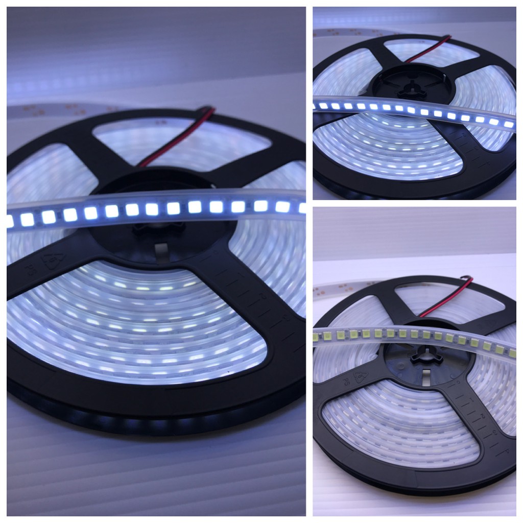 5054 120 Leds Per Meter Rubber Clad 12V | Shopee Philippines
