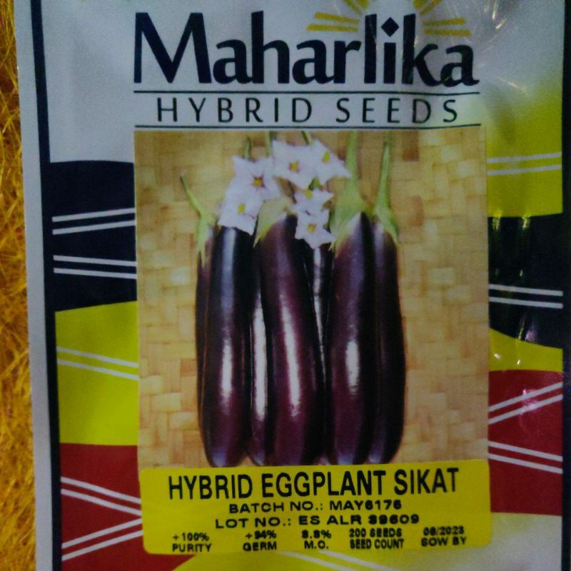 HYBRID EGGPLANT SEEDS SIKAT SACHET 200SEEDS VEGETABLE SEEDS TALONG ...