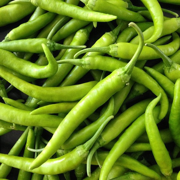 10PCS 【NEW】Pepper Seeds - Siling Haba / Siling Pansigang Seeds | Shopee ...