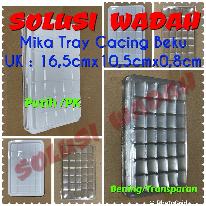 Frozen Worm Mica Tray | Shopee Philippines