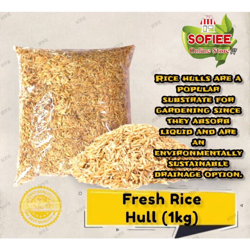 1 KG FRESH RICE HULL / MIXED SOIL SUBSTRATE / Gardening materials ...