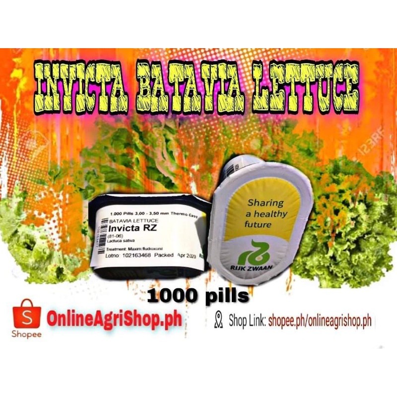 Invicta RZ Batavia Lettuce 1,000 Pills (Rijk Zwaan) | Shopee Philippines
