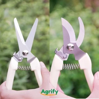 shears - Best Prices and Online Promos - Jul 2025 | Shopee Philippines