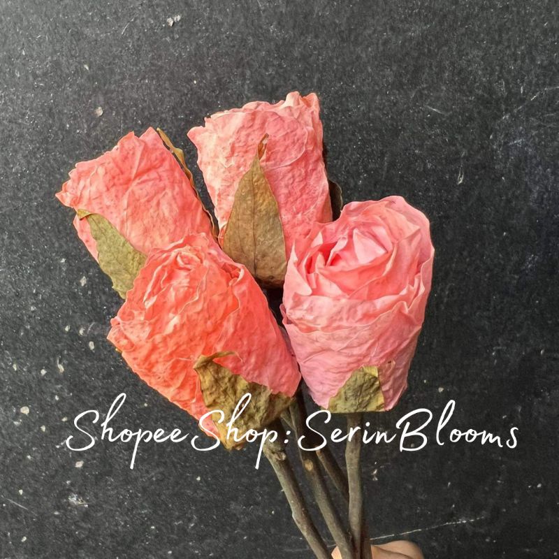 Fossilized Rose buds (1 stem only) | Shopee Philippines