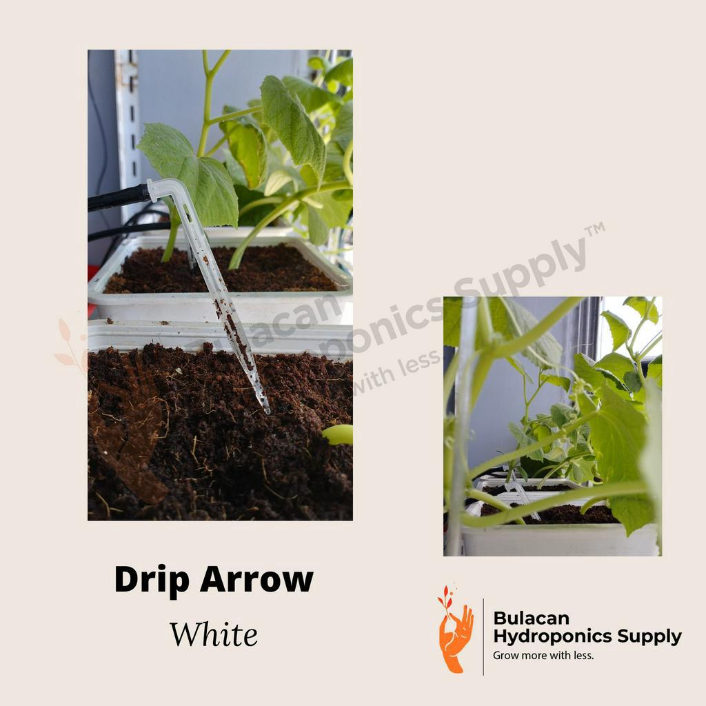 Drip Arrow Fittings for 4/7mm | Sold per 20 pcs | Shopee Philippines