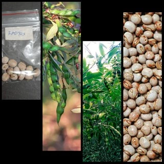 kadyos - Best Prices and Online Promos - Jun 2025 | Shopee Philippines