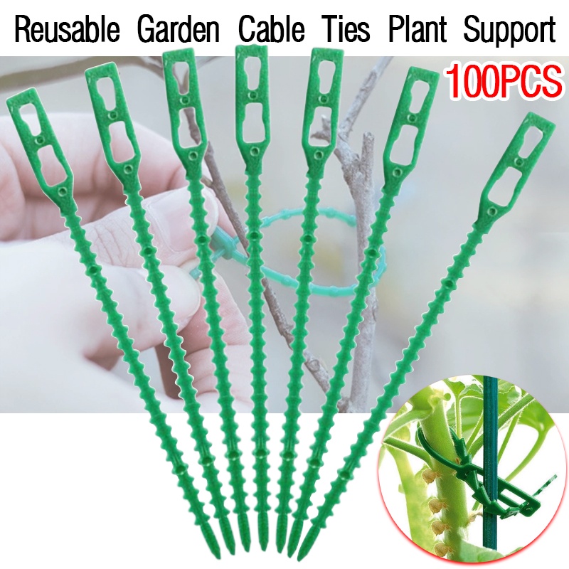 [Spot] 100pcs Reusable Garden Cable Ties Plant Support Shrubs Locking ...