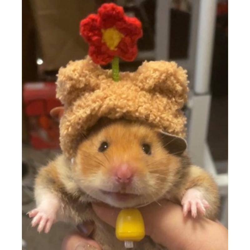 Hamster Hat Clothes Golden Bear Shape Cute Little Hat Ferret Hats, Hand ...