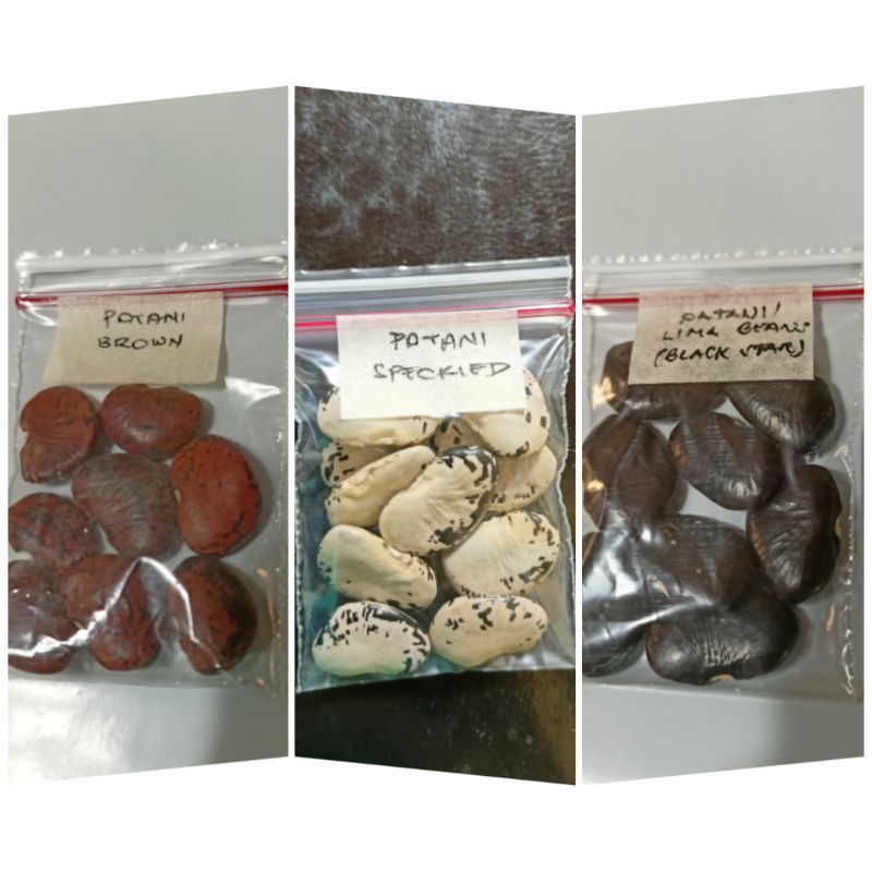 Patani varieties: Black/ Brown/ Speckled | Shopee Philippines