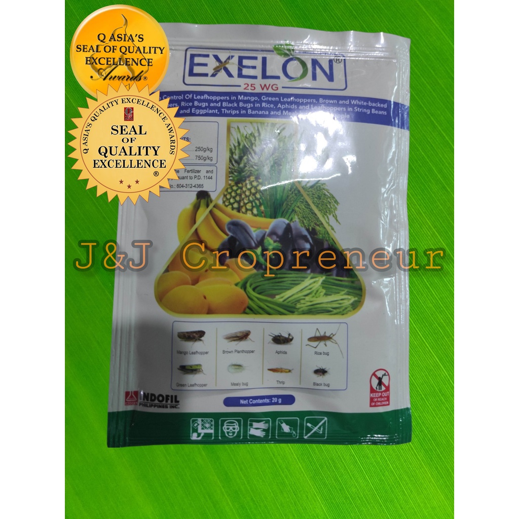 EXELON 25 WG THIAMETHOXAM SYSTEMIC BROAD SPECTRUM INSECTICIDE (20 GRAMS ...