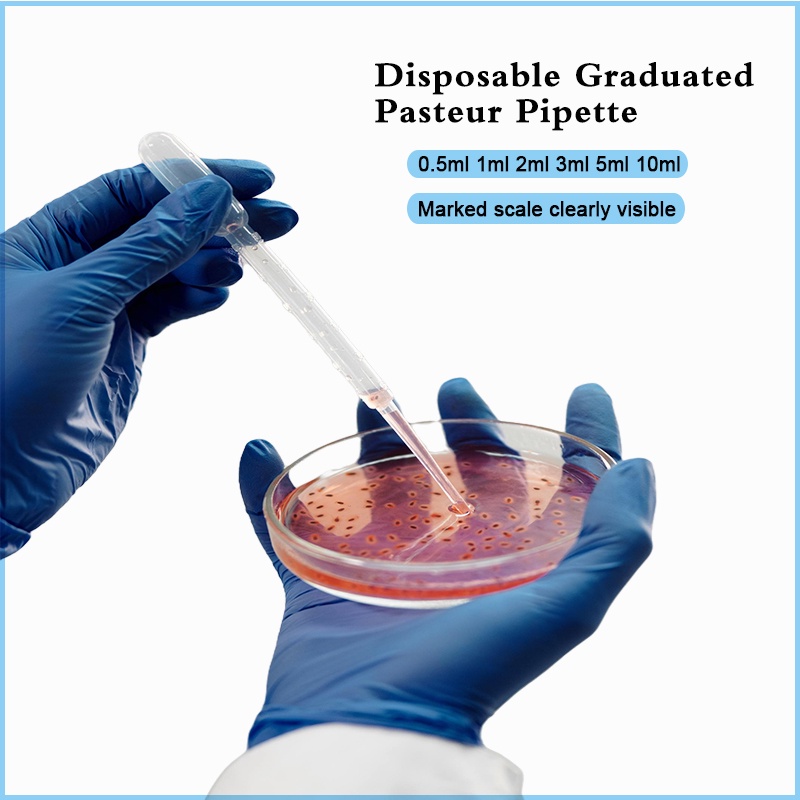 Pasteur Pipette 0.5ml 1ml 2ml 3ml 5ml 10ml Disposable Graduated LDPE ... Pasteur Pipette 0.5ml 1ml 2ml 3ml 5ml 10ml Disposable Graduated LDPE ...
