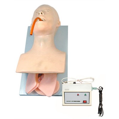 Human Intubation Teaching Model | Shopee Philippines