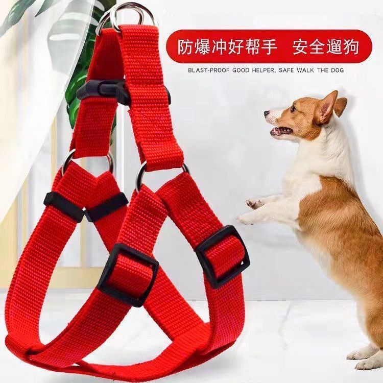 Muhe Extended Dog Leash Outing Prevent Breaking Out Walking Rope Medium ...