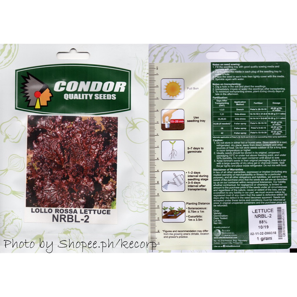 Ramgo Condor Yates East West Tomato Seeds - Sold per Pack per Variety ...