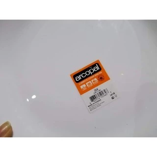 arcopal dinner plate - Best Prices and Online Promos - Aug 2024 ...