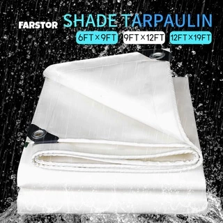 sakoline - Best Prices and Online Promos - Aug 2024 | Shopee Philippines