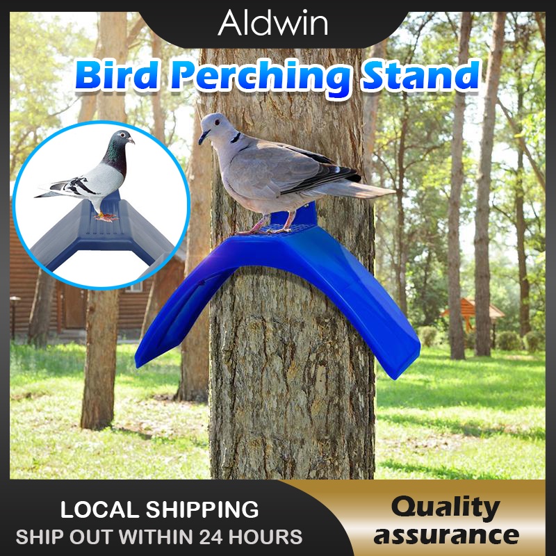 【PH Local】Quality Pigeons Plastic Frame Rest Frame Stand Pigeon Pigeon ...