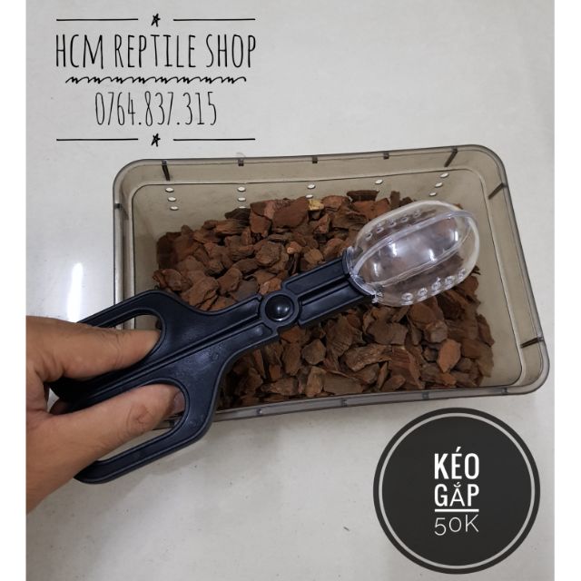 Scissors to pick up insects, line floors, feces | Shopee Philippines Scissors to pick up insects, line floors, feces | Shopee Philippines