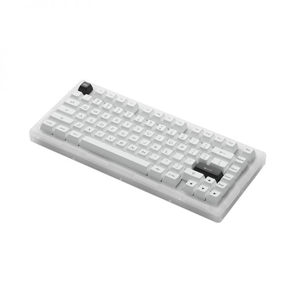 AKKO ACR Pro 75 RGB Hot-Swappable Mechanical Keyboard (Akko Crystal ...