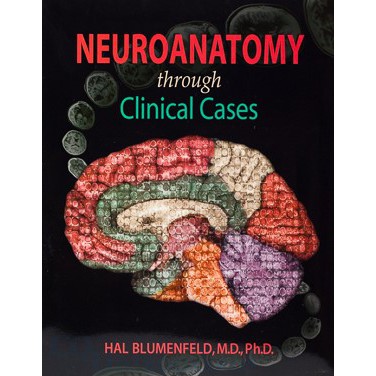 Neuroanatomy Through Clinical Cases - Hal Blumenfeld (Medical Books ...