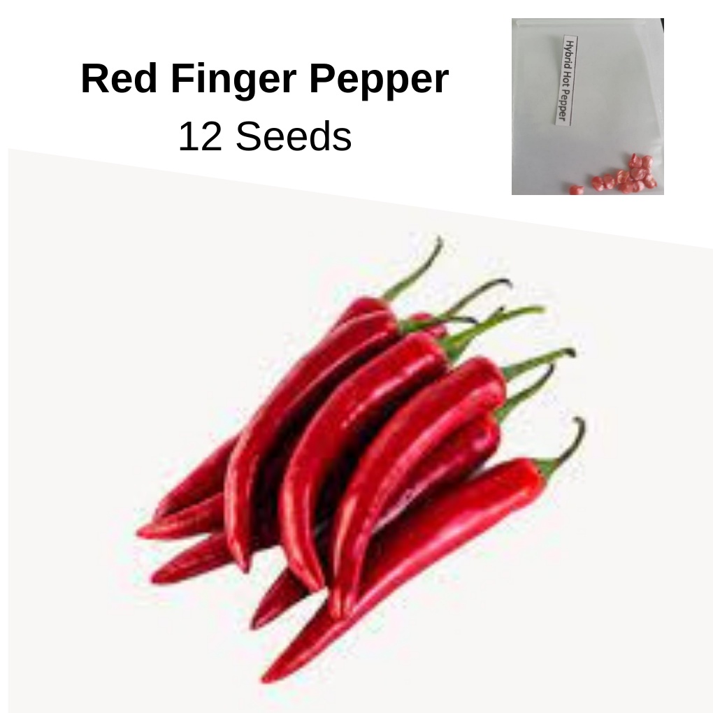 Red Finger Pepper Seeds | Shopee Philippines