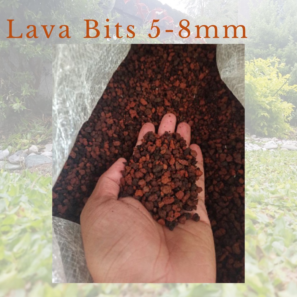 Lava Bits 5-8mm Lava Stone For Aquarium Setup / Terrarium [ 500g , 1 ...