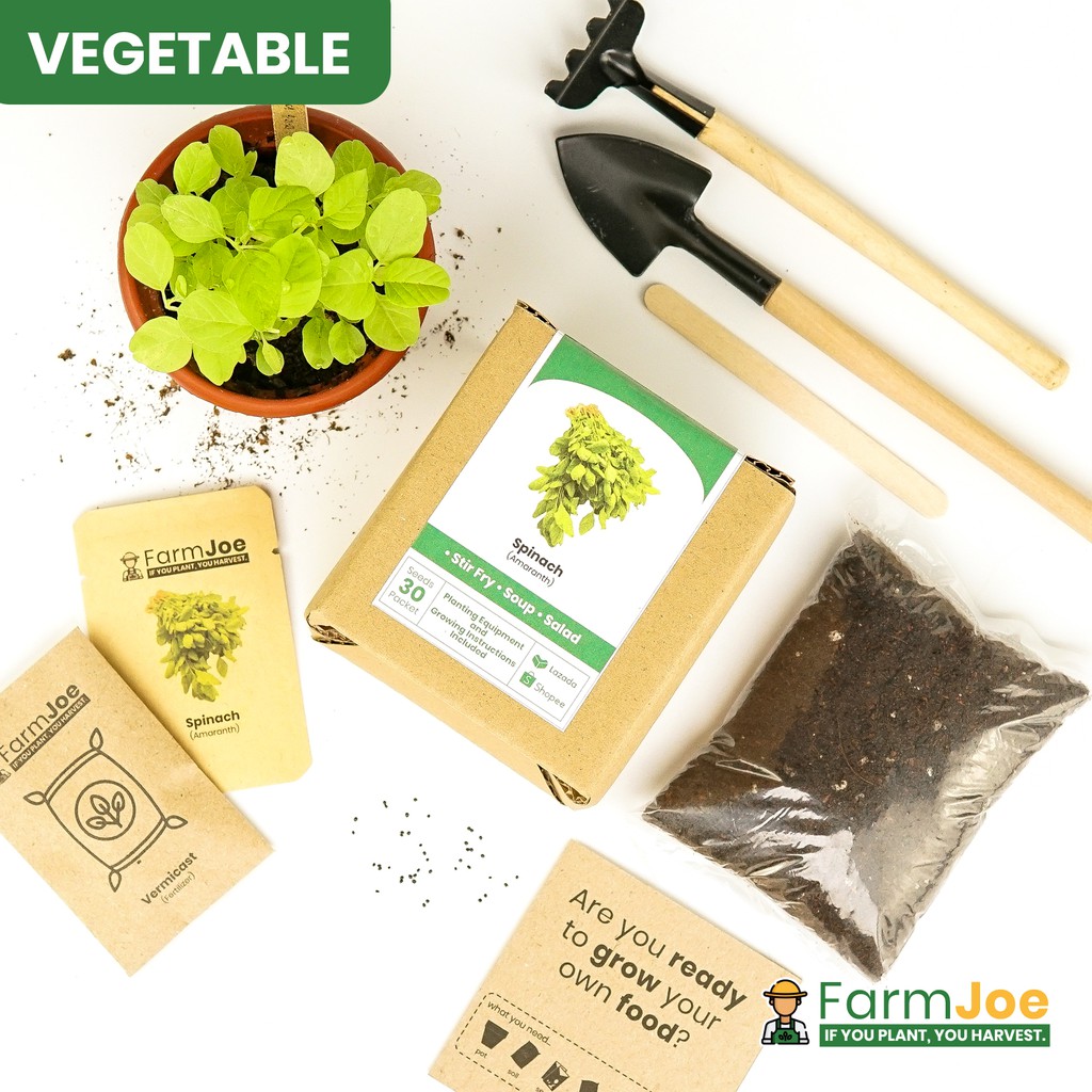 Growing Kit SPINACH • Seedling Kit • Seed Starting Kit • Grow Kit ...