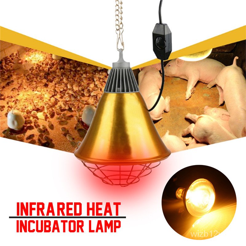Adjustable Switch 250W Poultry Heat Incubator Lamp & Hen Pet Infrared ...