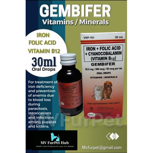 Gembifer, 30ml (Iron, Vitamin B12 & Folic Acid)(12.12 Sale! Buy 12 ...
