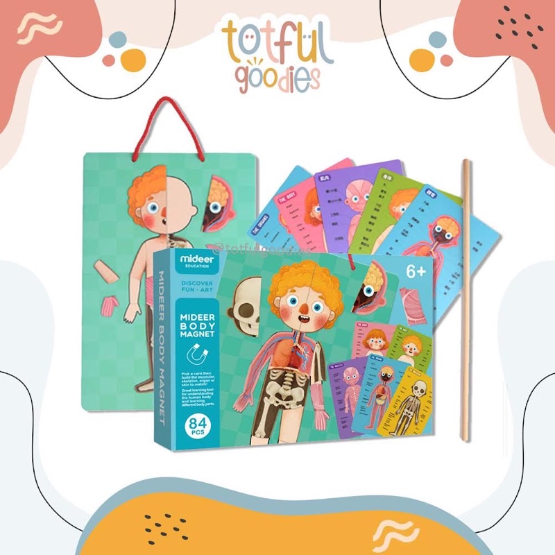 Kids Mideer Human Body Magnet Educational STEM Puzzle Girl Boy Gift Toy ...