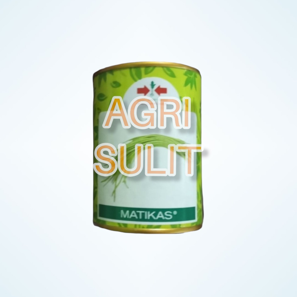 MATIKAS POLE SITAW SEEDS 100 GRAMS OR 600 SEEDS (EAST WEST) | Shopee Philippines