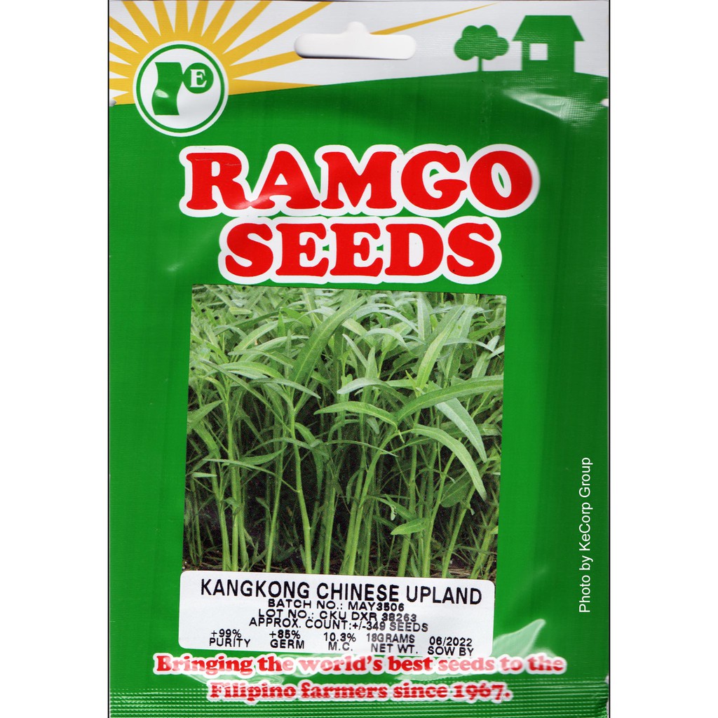 Ramgo Seeds - Pechay Pakchoi Eggplant Ampalaya Patola Upo Sitao Okra ...