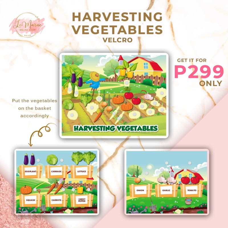 HARVESTING VEGETABLES - Laminated Velcro Busy Book Interactive ...