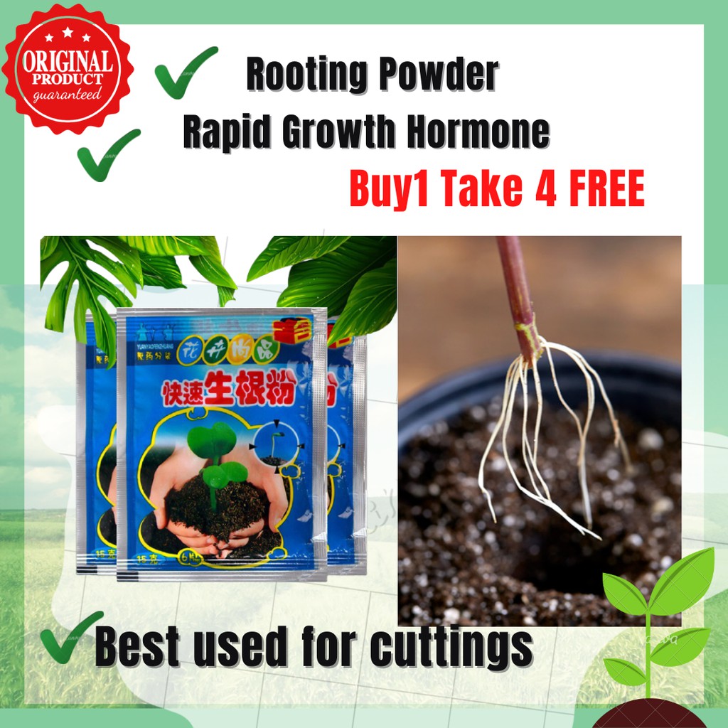 ORIGINAL Rooting Powder for cutting plants rooting growth hormone ...
