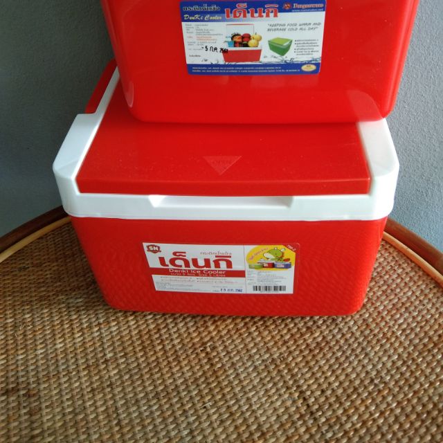 Bekas ais 5 liter, ice box, portable chiller | Shopee Philippines
